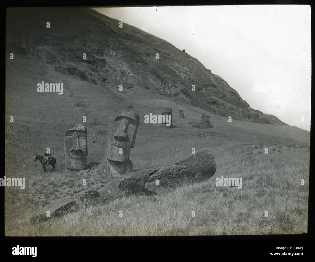 View of a moai lying on the ground with five moai heads standing ...