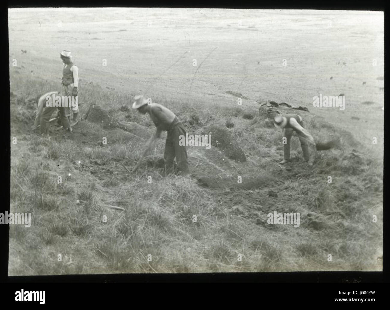 View of three men digging using pick axes to excavate two moai with one ...