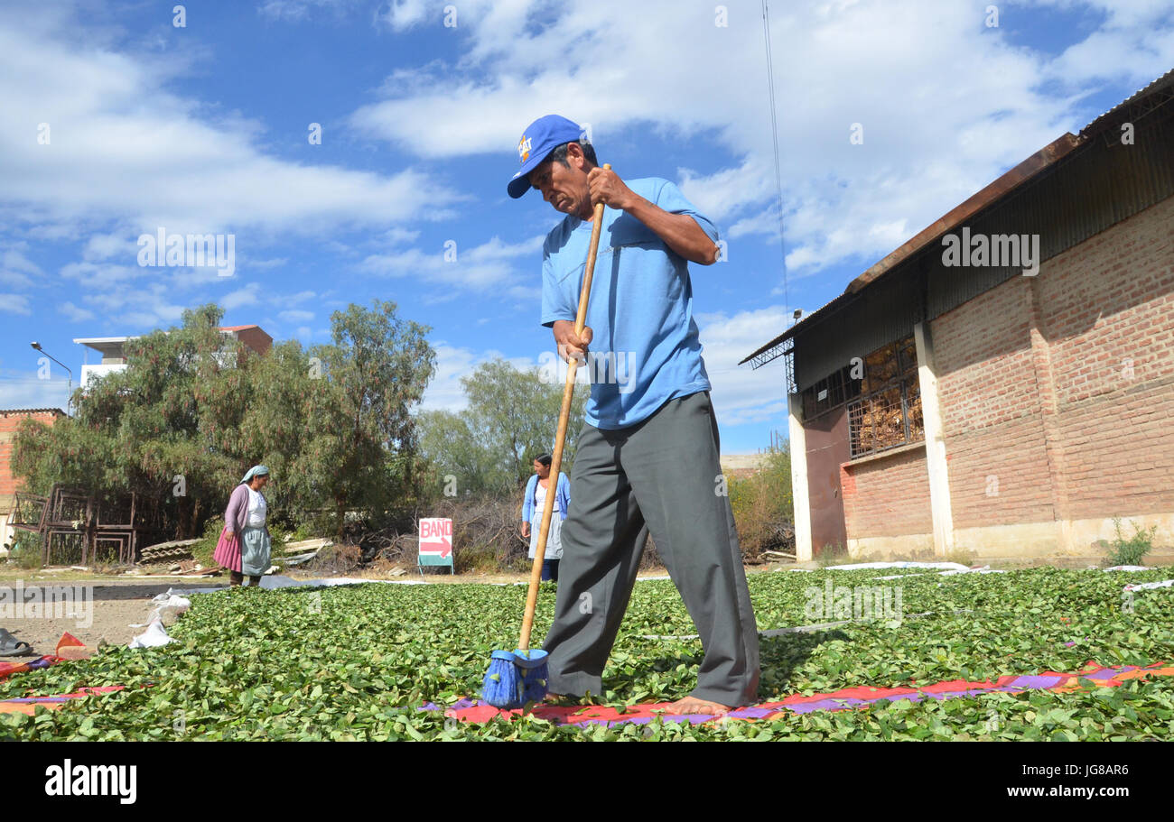Chapare bolivia hi-res stock photography and images - Alamy