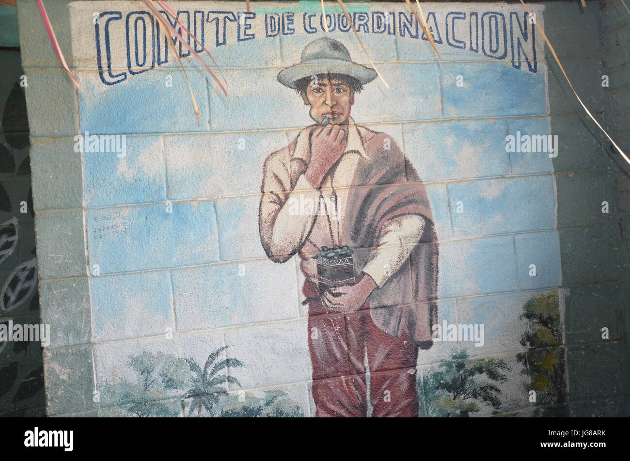 Sacaba, Bolivia. 30th May, 2017. An image of an indigenous woman ...