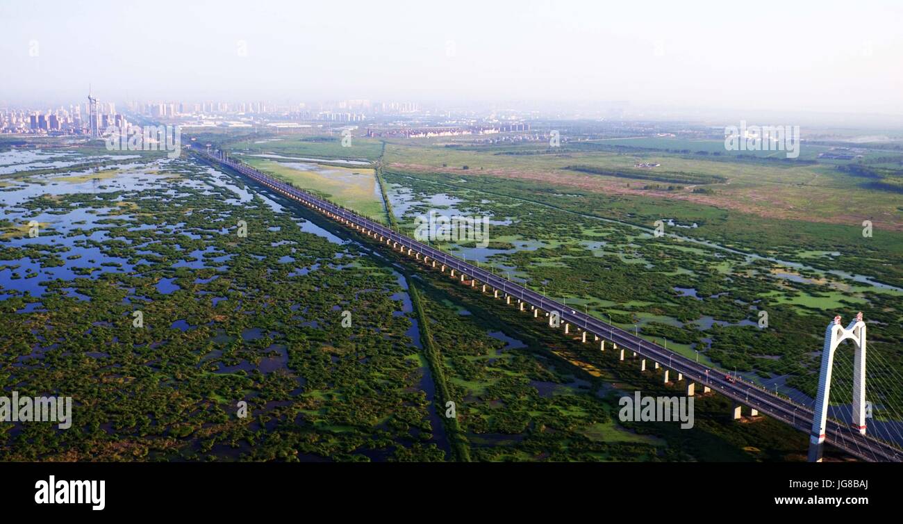 Daqing. 4th July, 2017. Photo taken on July 4, 2017 shows scenery of ...