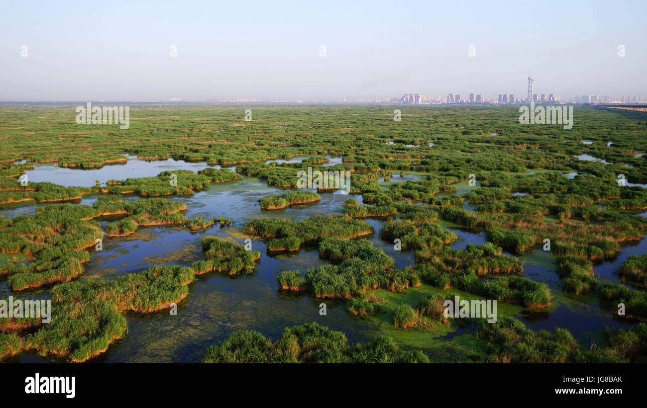 Wetland reserve daqing city hi-res stock photography and images - Alamy