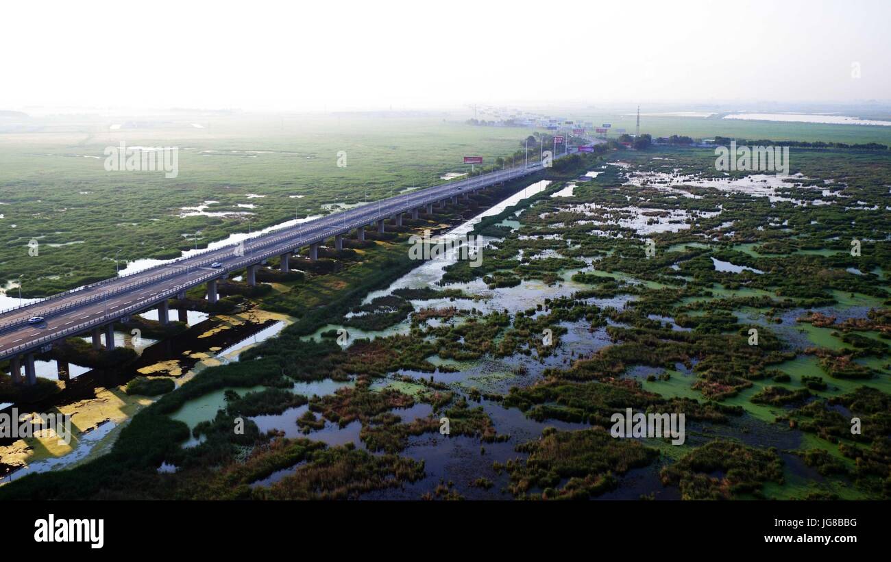 Daqing. 4th July, 2017. Photo taken on July 4, 2017 shows scenery of ...
