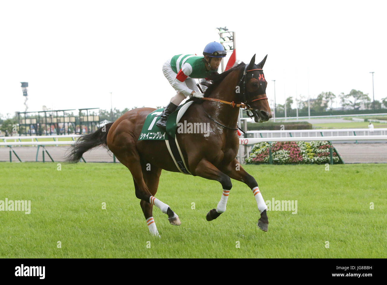 Aichi, Japan. 2nd July, 2017. Shining Lei (Yuichi Kitamura) Horse ...