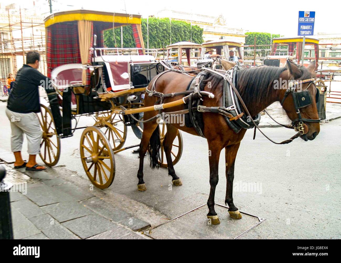 Valletta, Malta. 11th Oct, 2004. Horse-drawn carriages, or cabs, known ...