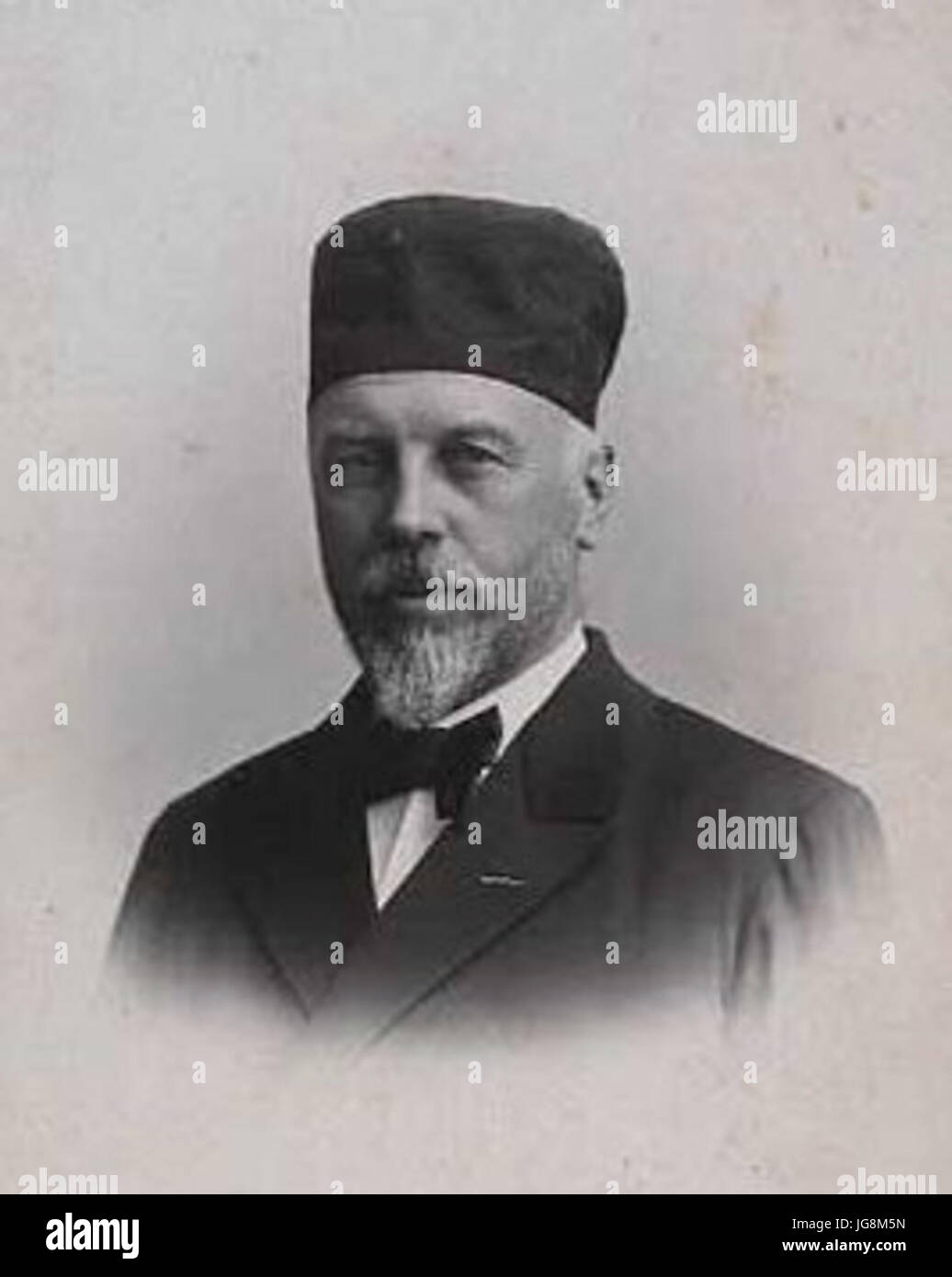 Vilhelm Helweg-Larsen by Christen E. Jørgensen Stock Photo - Alamy