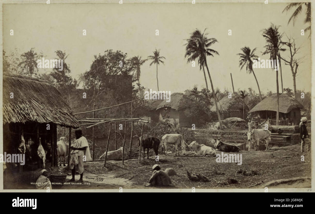 Village life in Bengal near Calcutta photo Stock Photo - Alamy