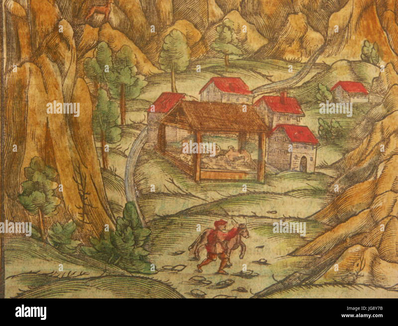 Tamed wild animals hi-res stock photography and images - Alamy