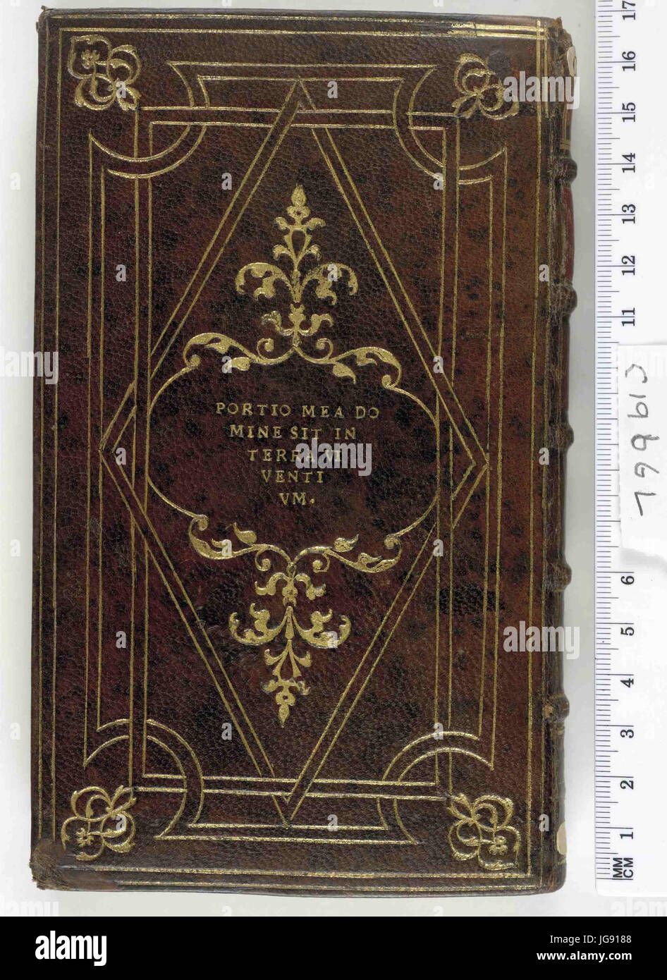 Ausonius hi-res stock photography and images - Alamy