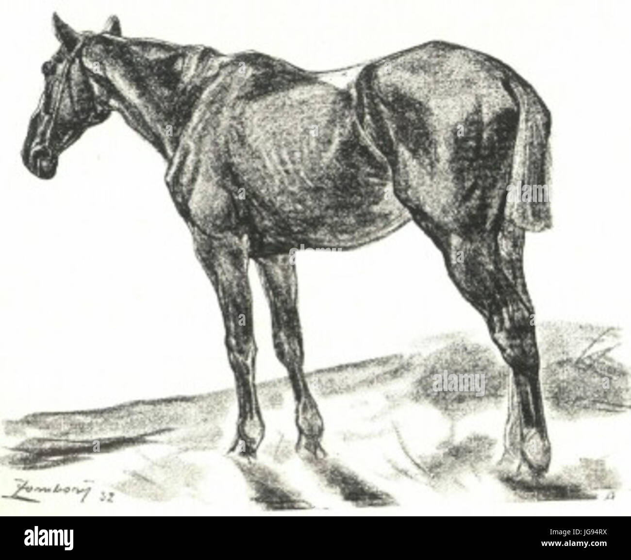 Zombory hi-res stock photography and images - Alamy