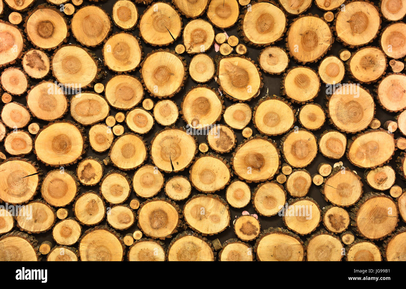 Abstract background of tree trunks, logs taped on a wall. House ...