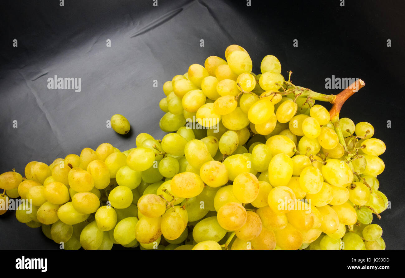 Large grapes cluster amber color on black background Stock Photo - Alamy