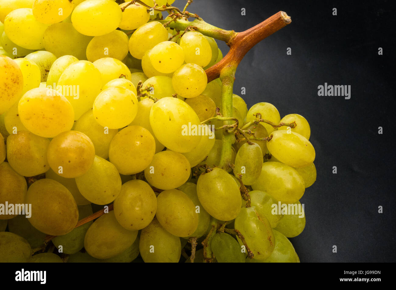Large grapes cluster amber color on black background Stock Photo - Alamy