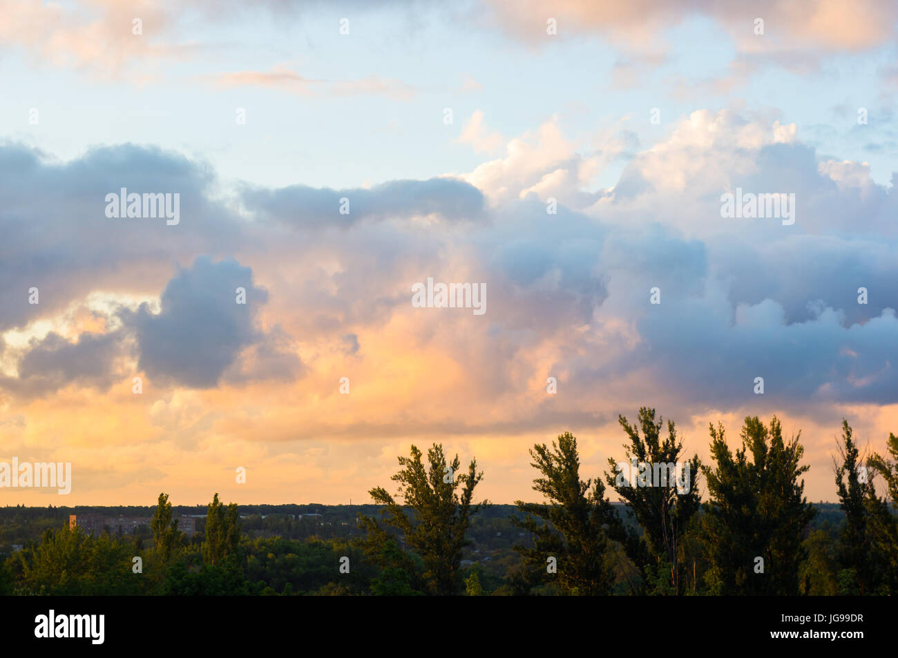 landscape with dramatic light - orange clouds and the outline of trees ...