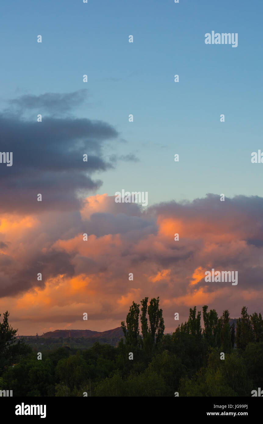 landscape with dramatic light - orange clouds and the outline of trees ...