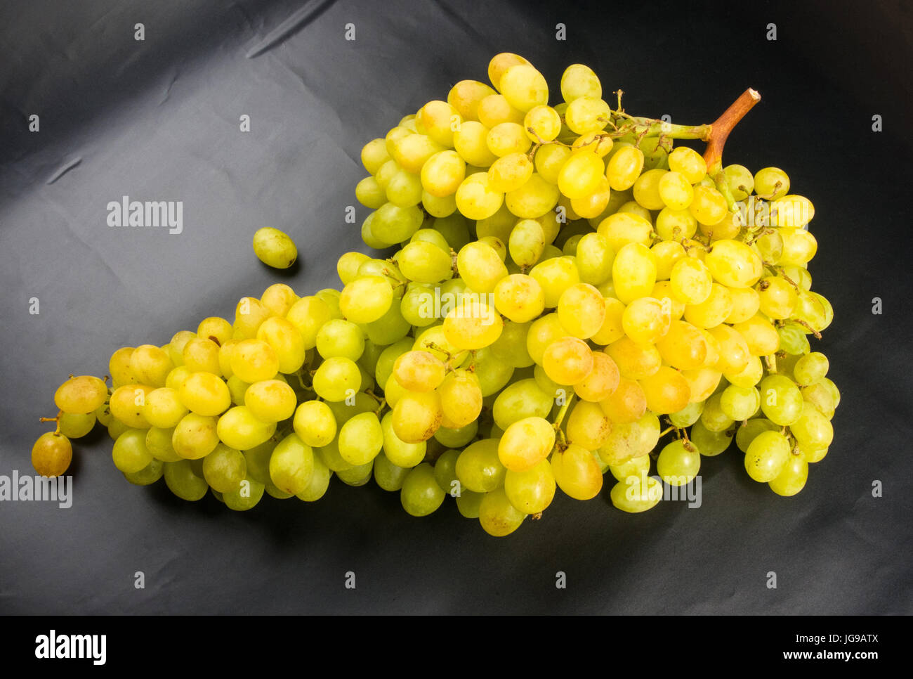 Large grapes cluster amber color on black background Stock Photo - Alamy