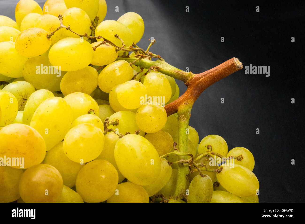 Large grapes cluster amber color on black background Stock Photo - Alamy
