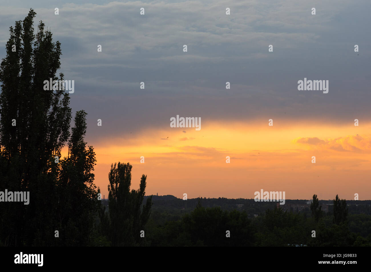 landscape with dramatic light - orange clouds and the outline of trees ...