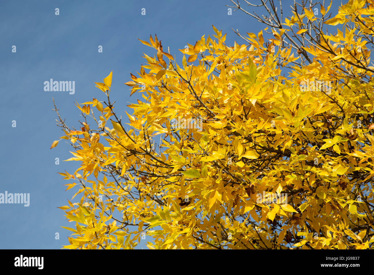 Sunny colours hi-res stock photography and images - Alamy