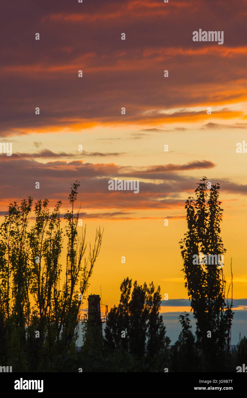 landscape with dramatic light - orange clouds and the outline of trees ...