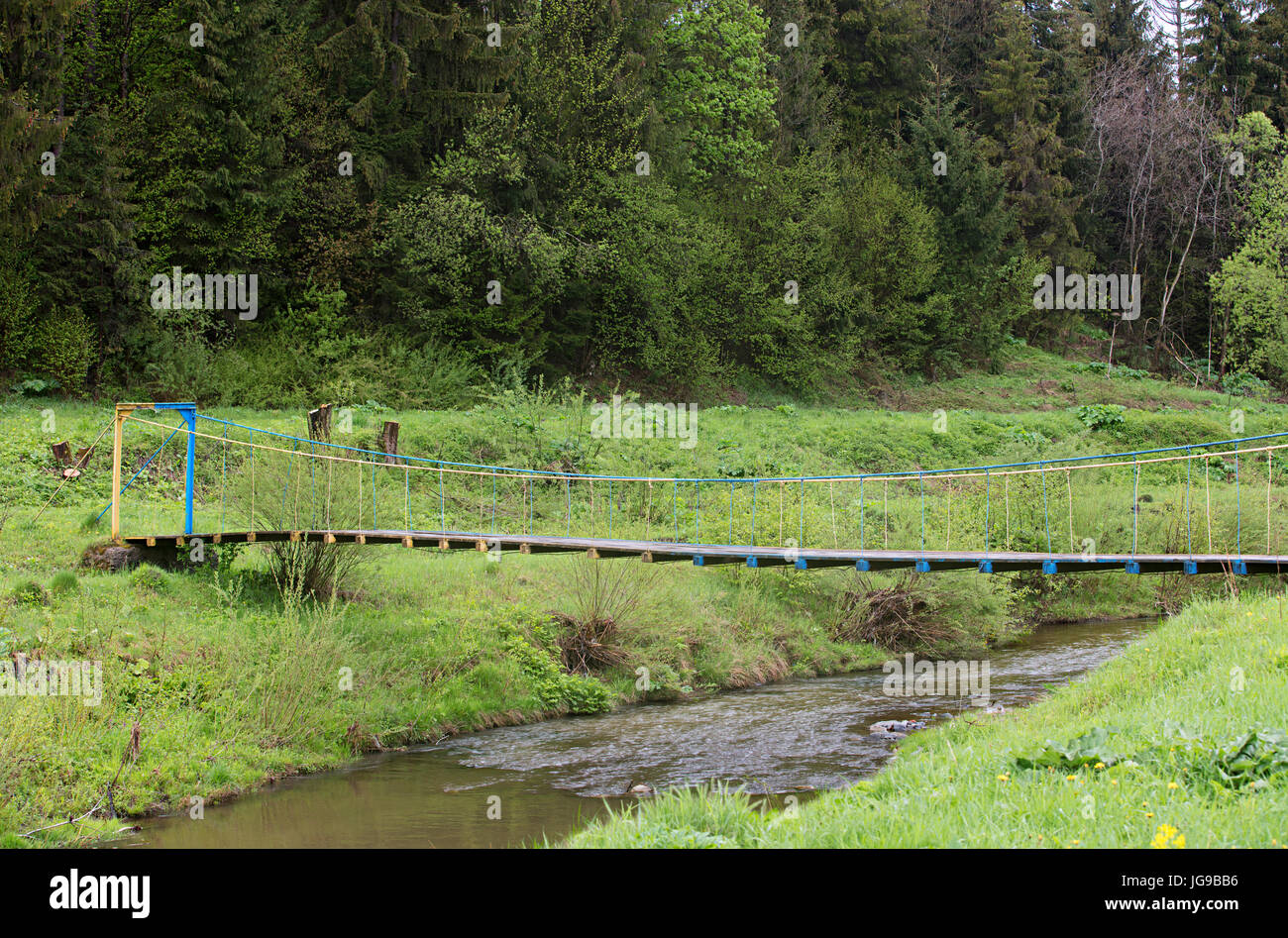 Suspension bridge over the mountain river among the bright green forest ...