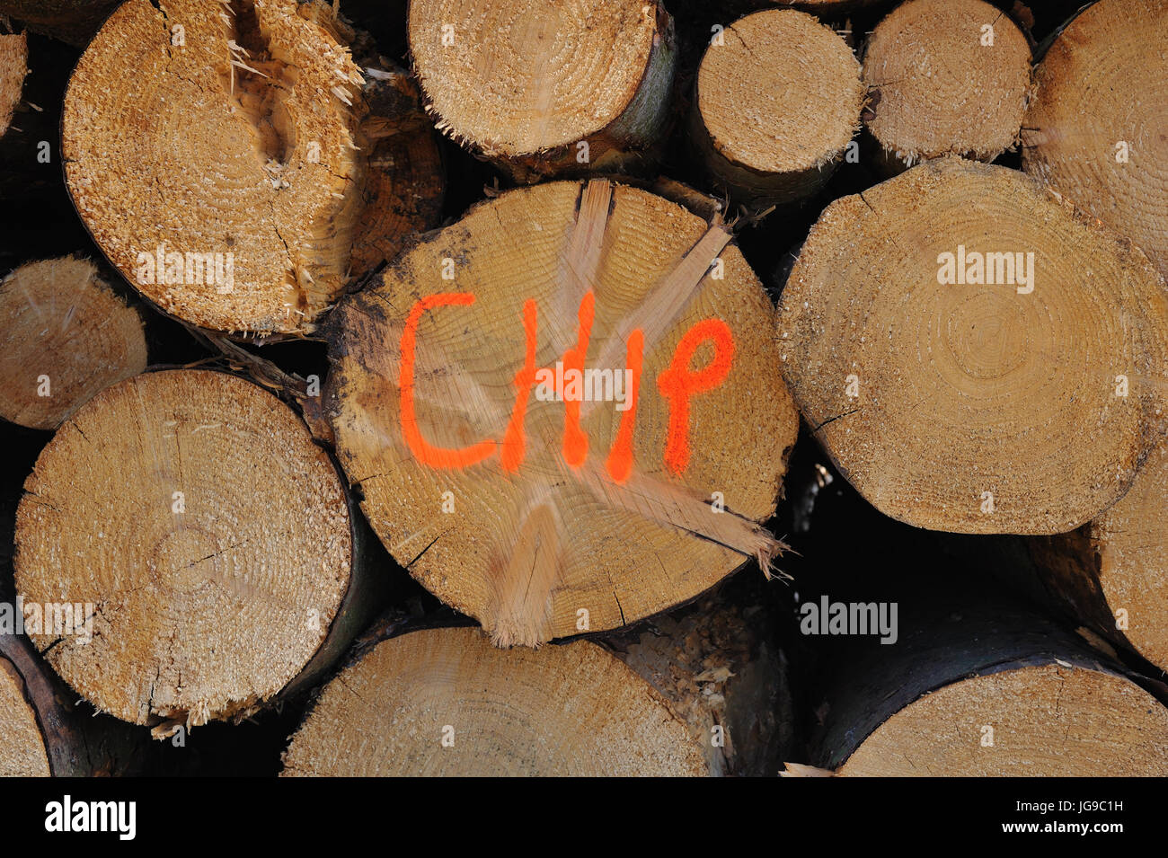 timber logs stacked ready for collection Stock Photo - Alamy