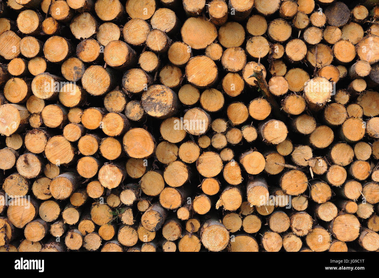 timber logs stacked ready for collection Stock Photo - Alamy