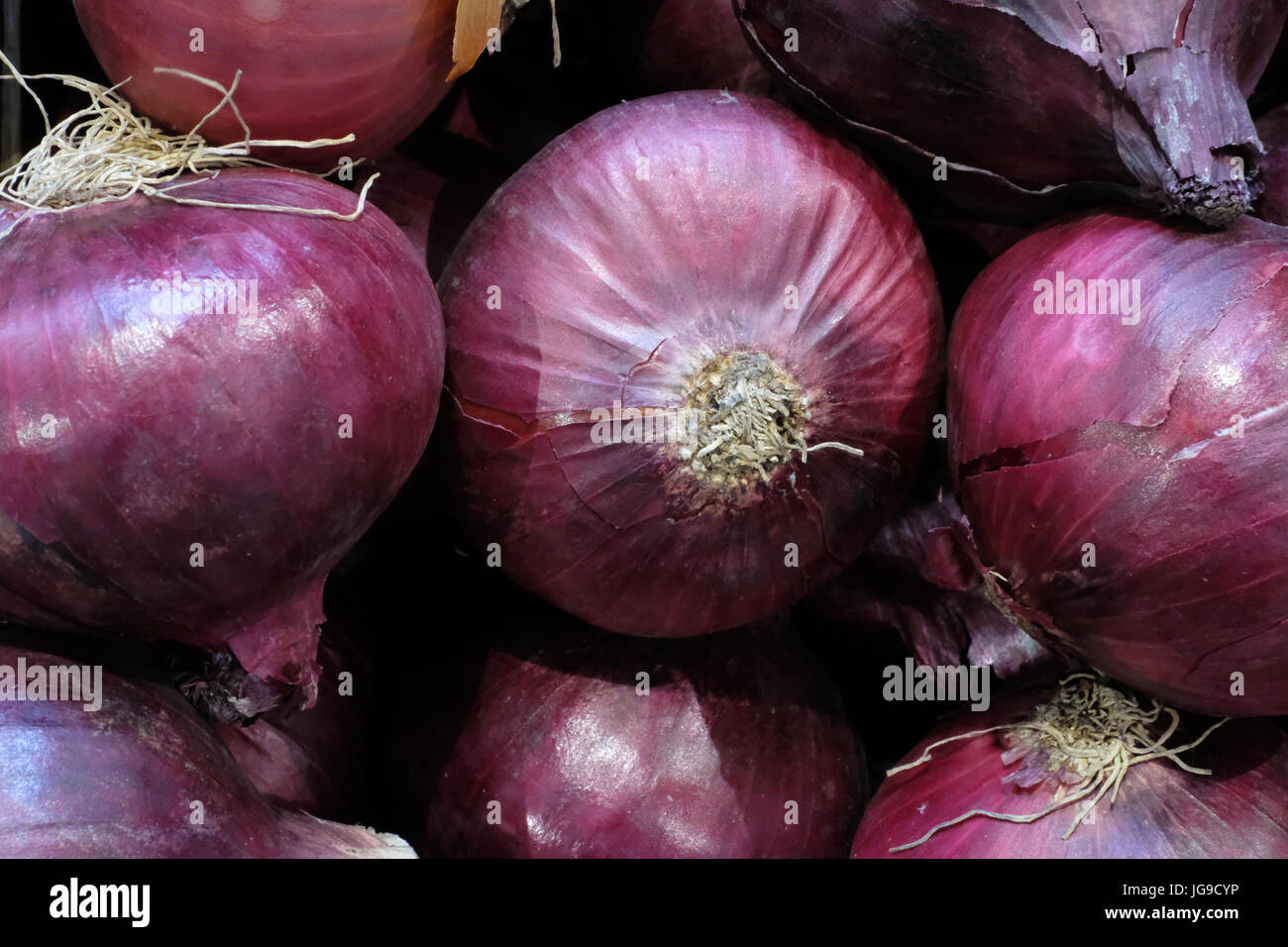 Versatile bulb plant hi-res stock photography and images - Alamy