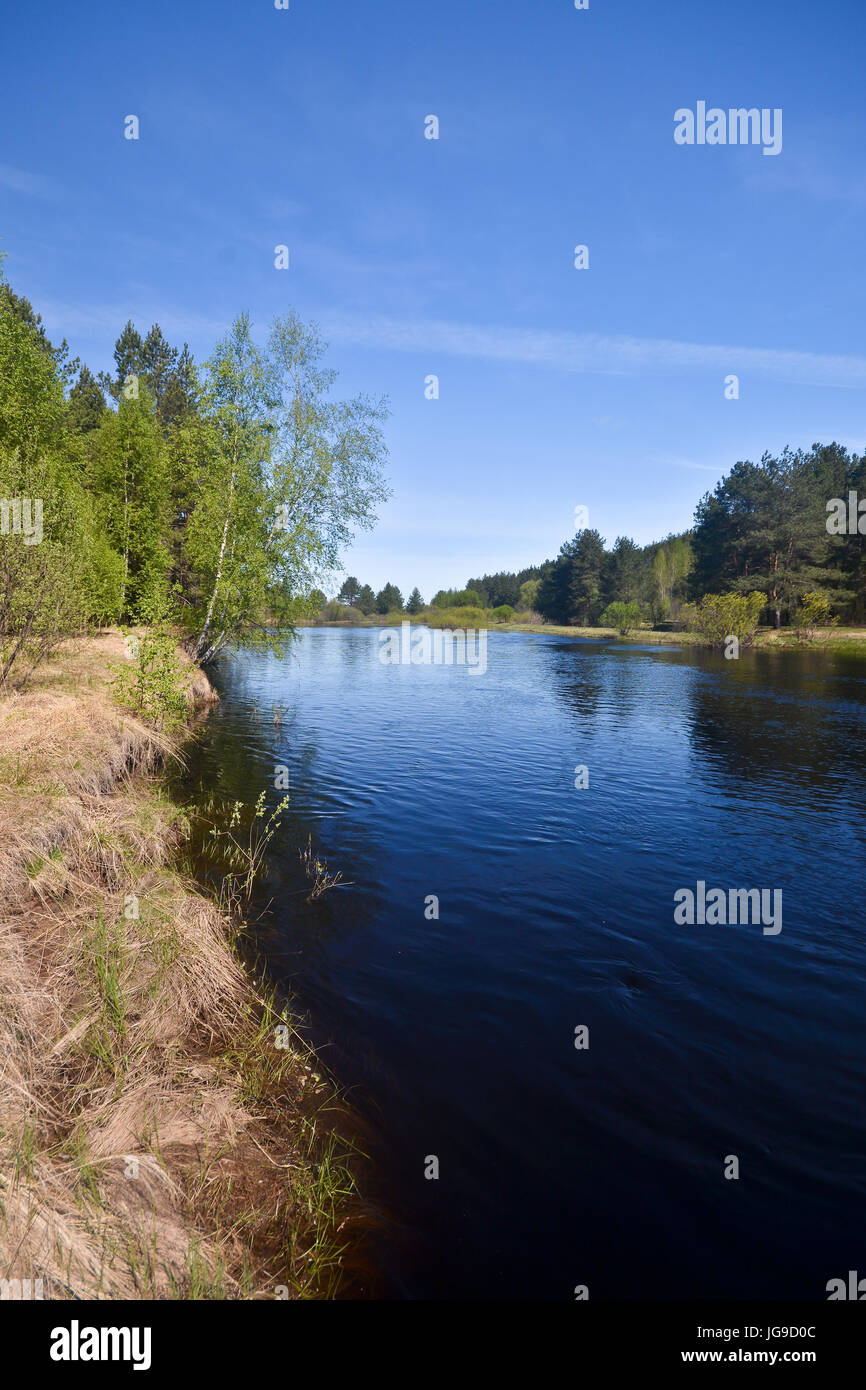 The river flows in the spring among the woods. May water landscape in ...