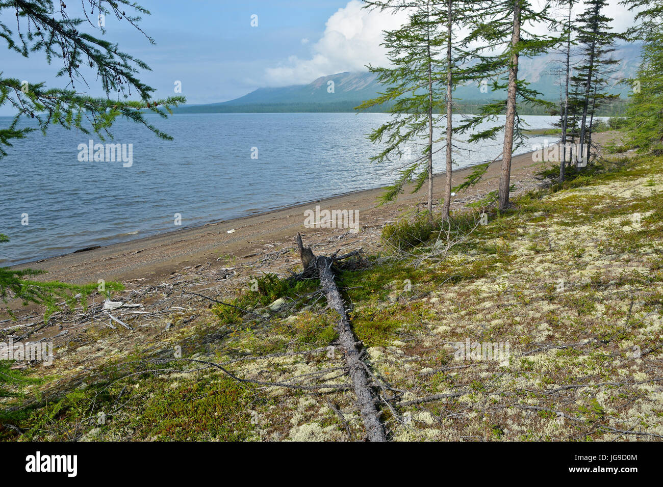 Northern shore of the lake. Summer water landscape Stock Photo - Alamy