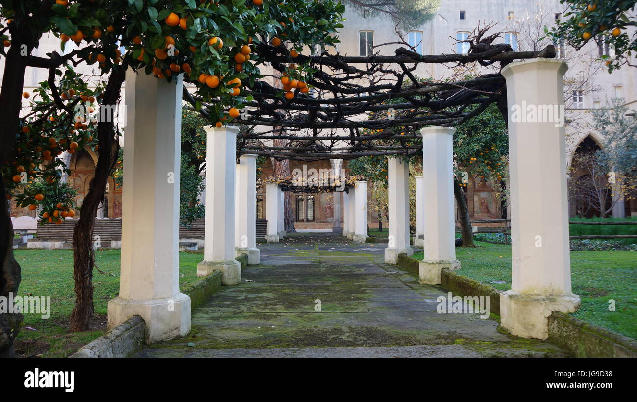 Orange windows green trees hi-res stock photography and images - Alamy