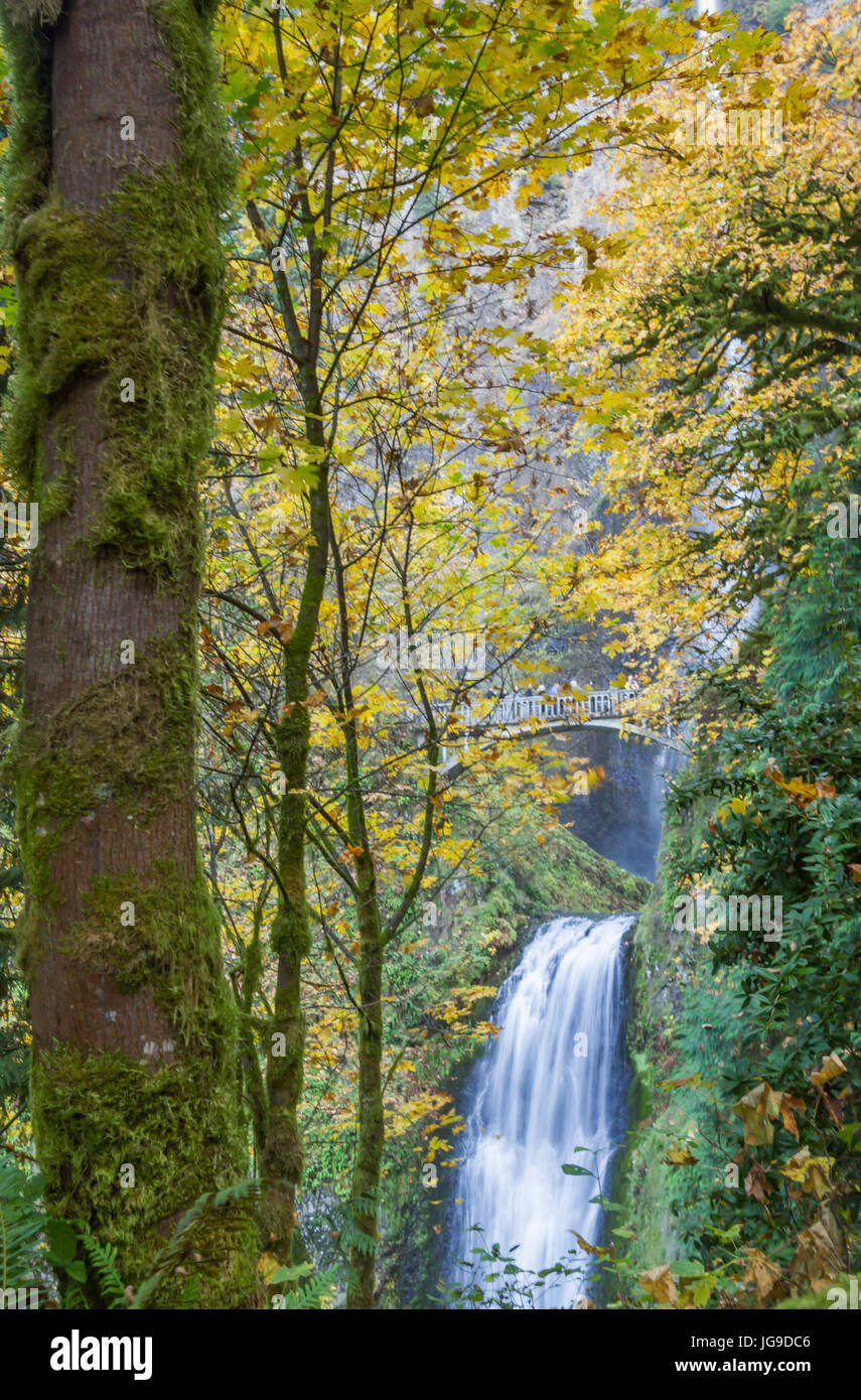 Portland Oregon Multnomah Falls in the Autumn of 2013 Stock Photo - Alamy