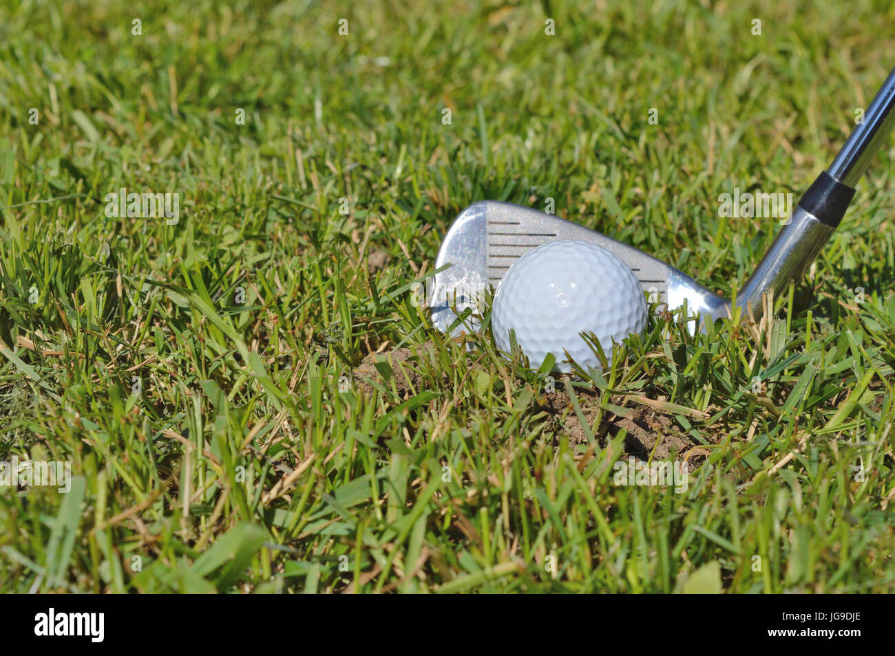 Golfer hitting a ball off the fairway Stock Photo - Alamy