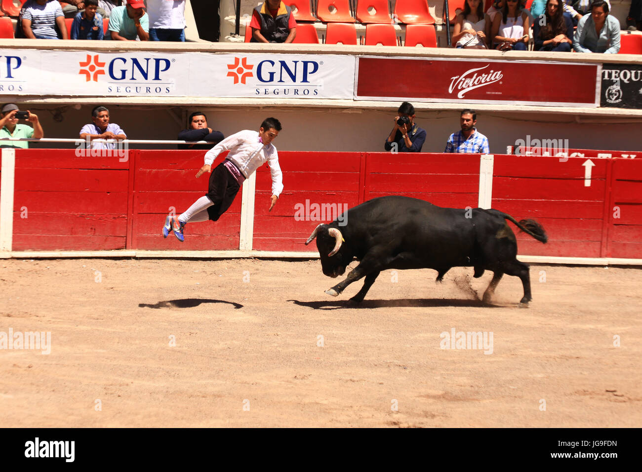 Bull Ring Acrobatics Stock Photo - Alamy