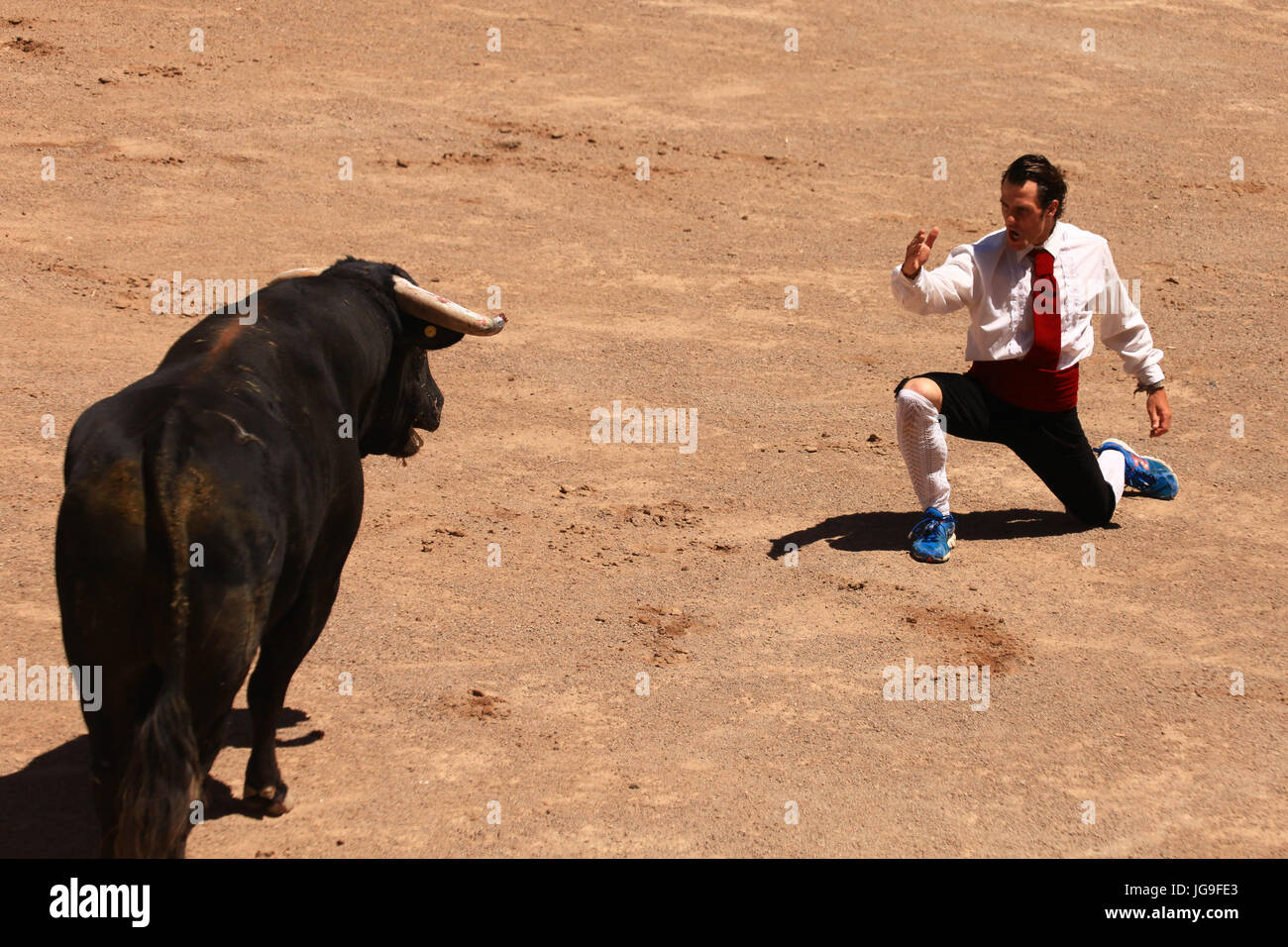 Bull Ring Acrobatics Stock Photo - Alamy