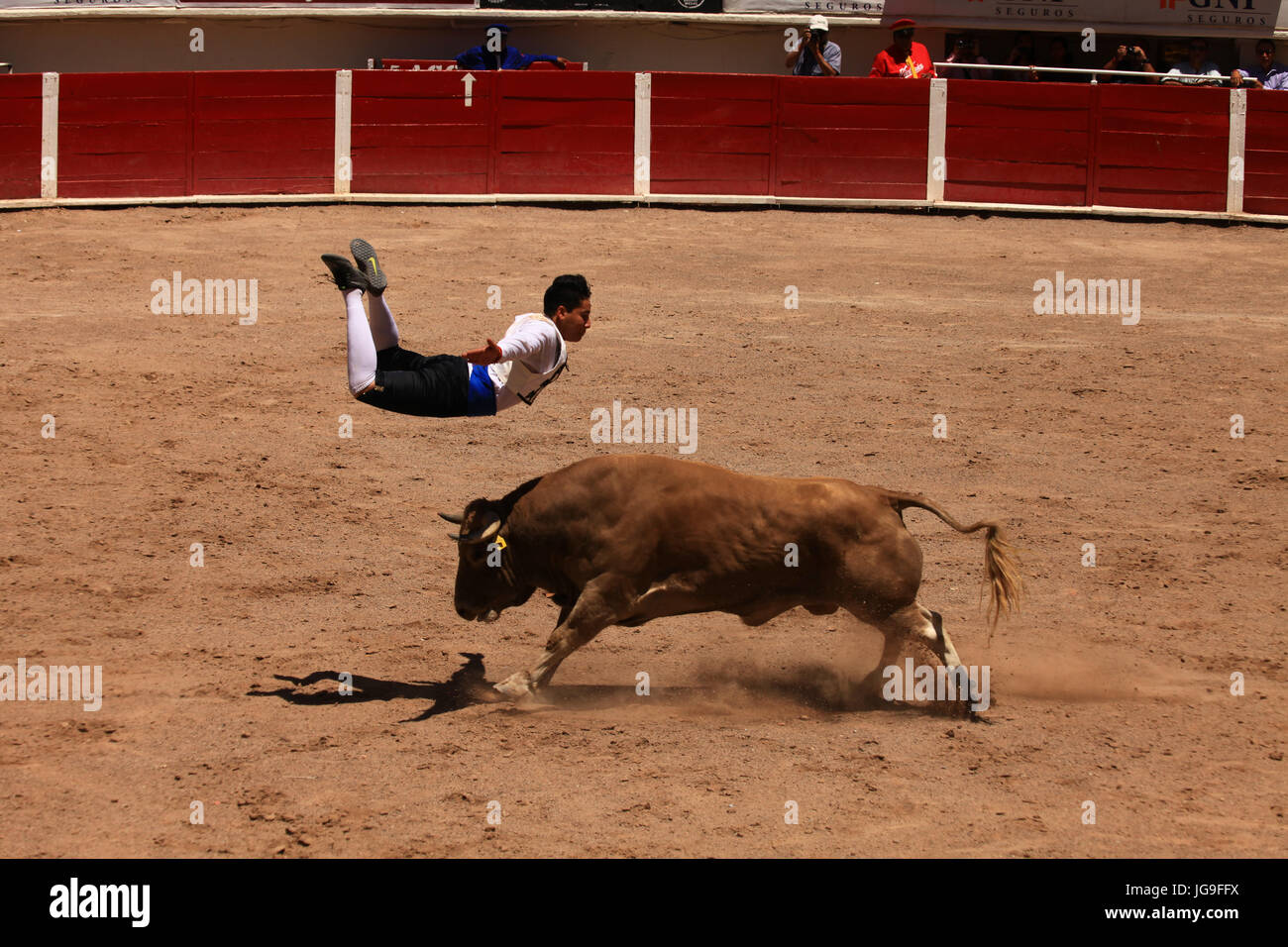 Bull Ring Acrobatics Stock Photo - Alamy