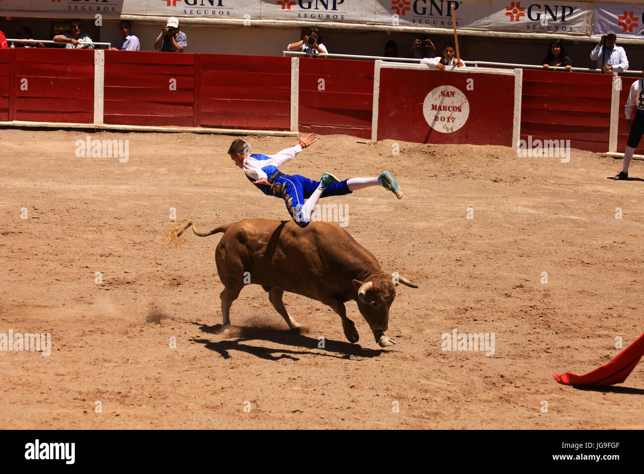Bull Ring Acrobatics Stock Photo - Alamy