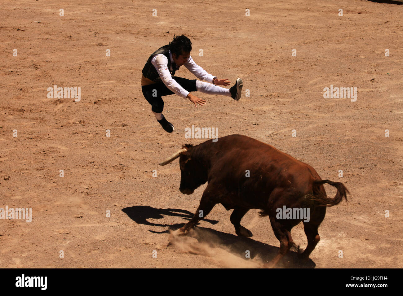 Bull Ring Acrobatics Stock Photo - Alamy