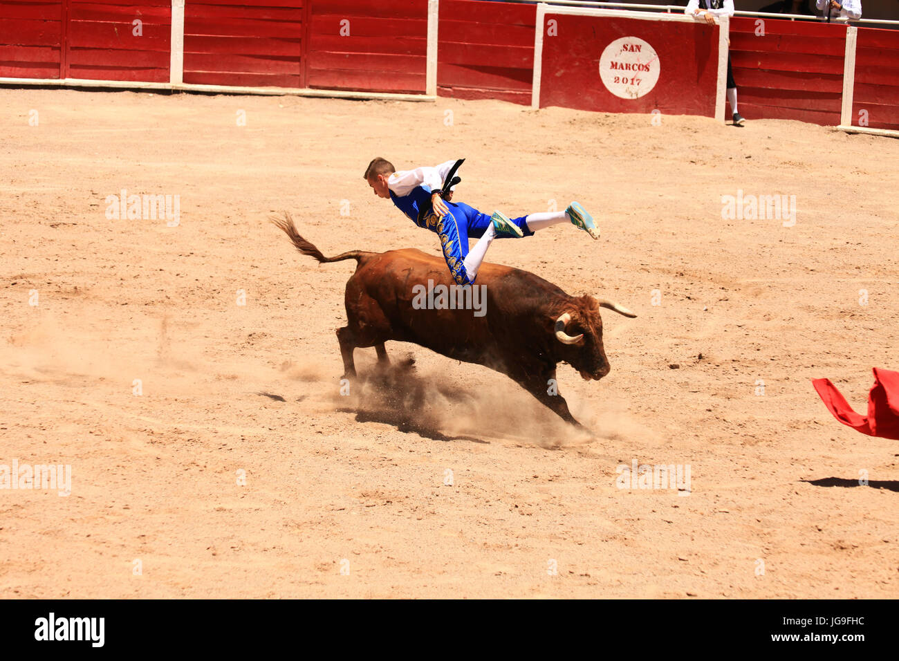 Bull Ring Acrobatics Stock Photo - Alamy