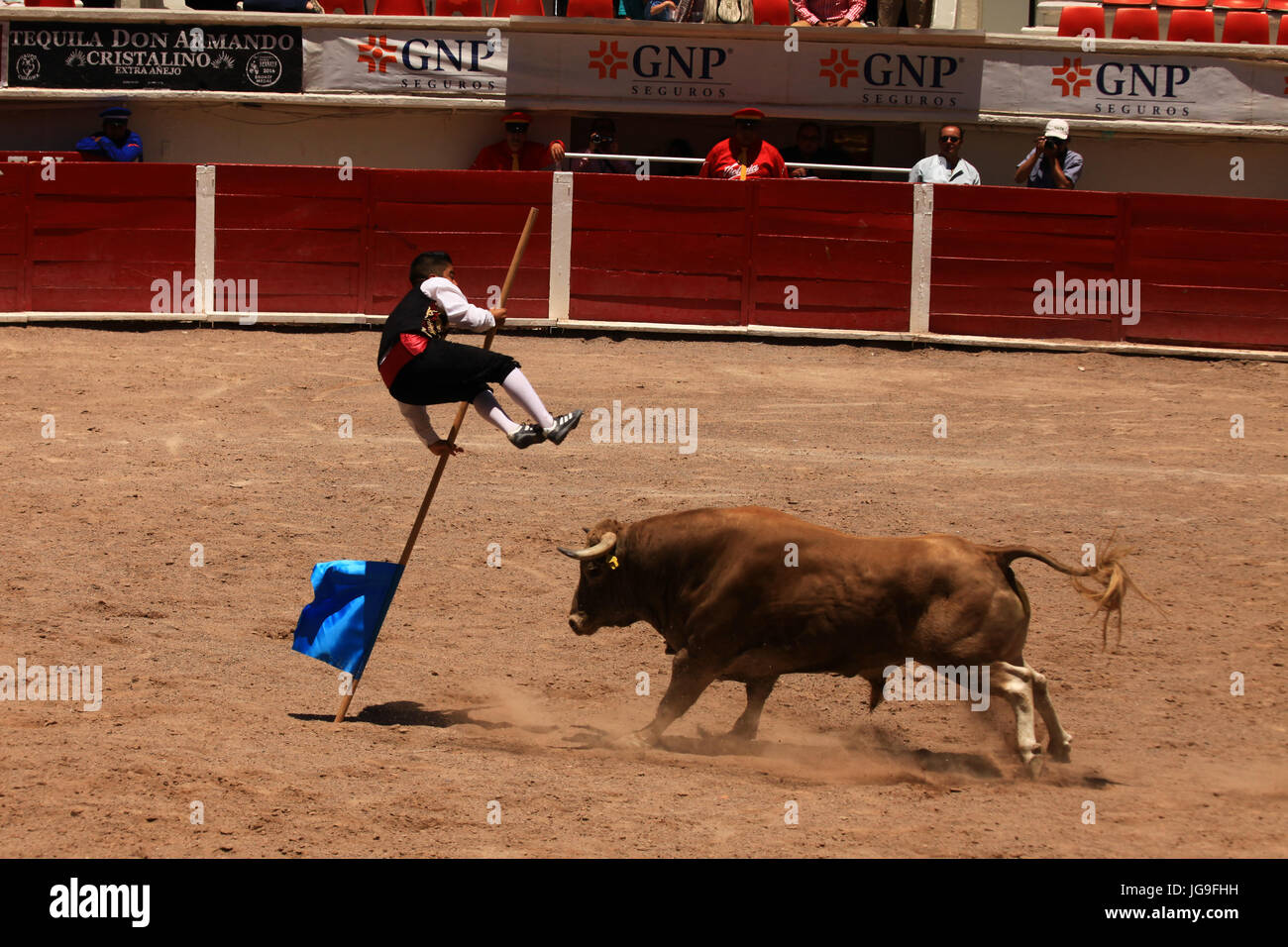 Bull Ring Acrobatics Stock Photo - Alamy