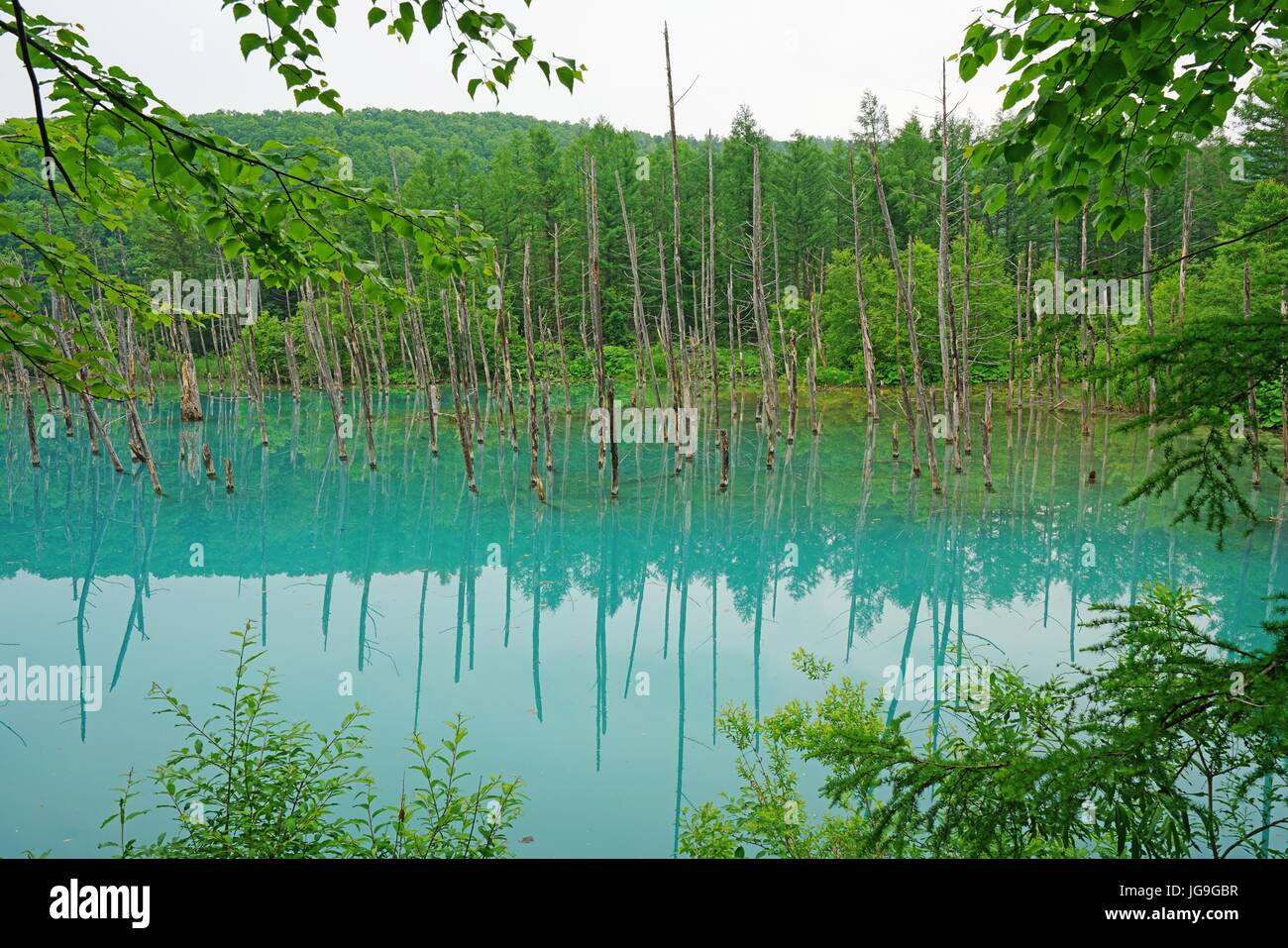 Japan japanese biei hokkaido hi-res stock photography and images - Alamy