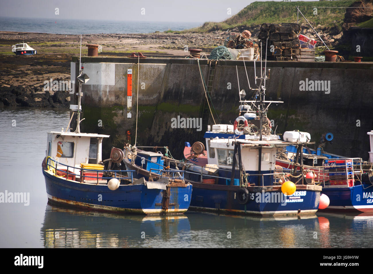 Harbour at Seahouses, Northumberland Stock Photo - Alamy