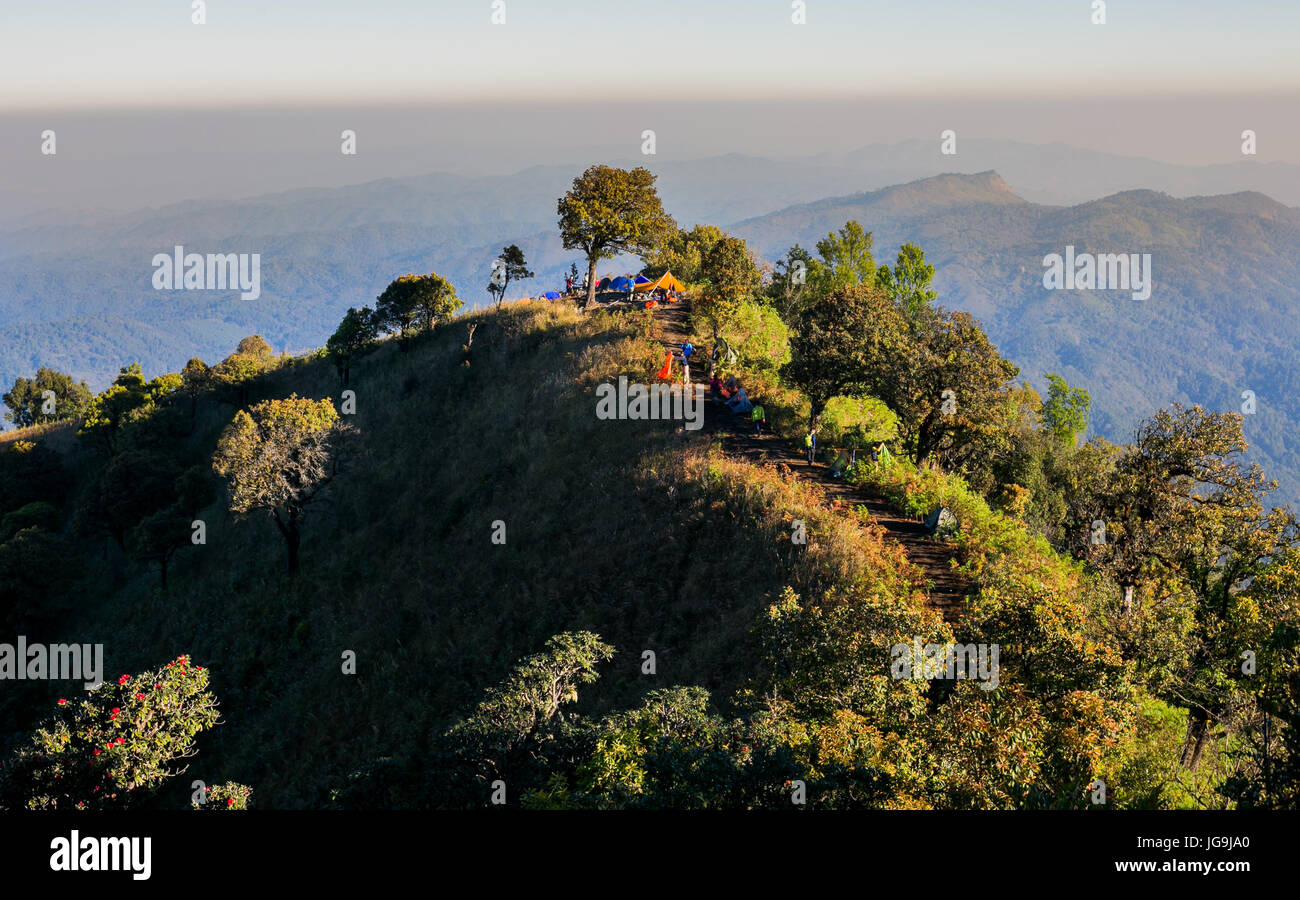Spectacular jungle landscape with mountain range Stock Photo - Alamy