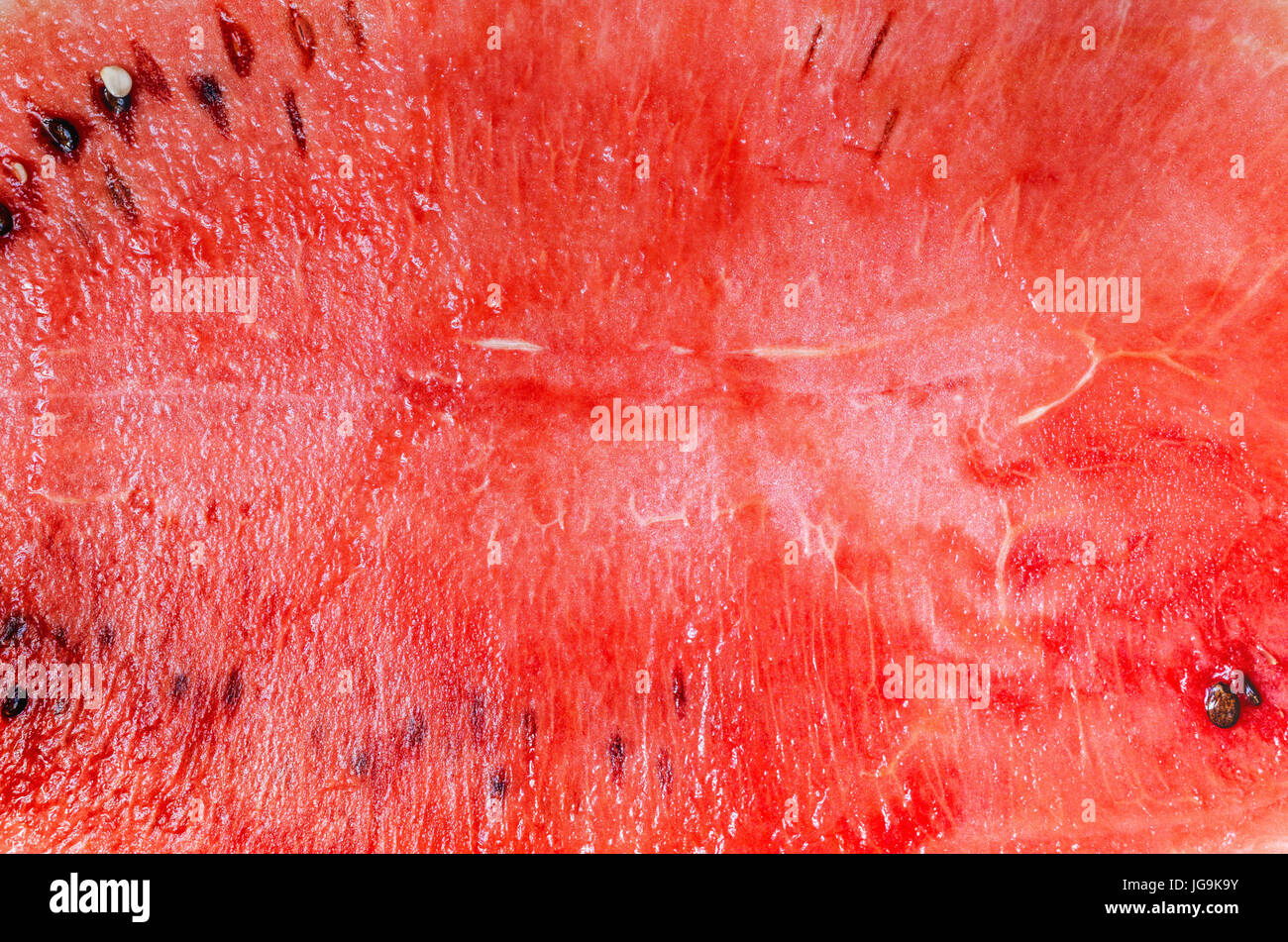 Watermelon Skin Texture Map