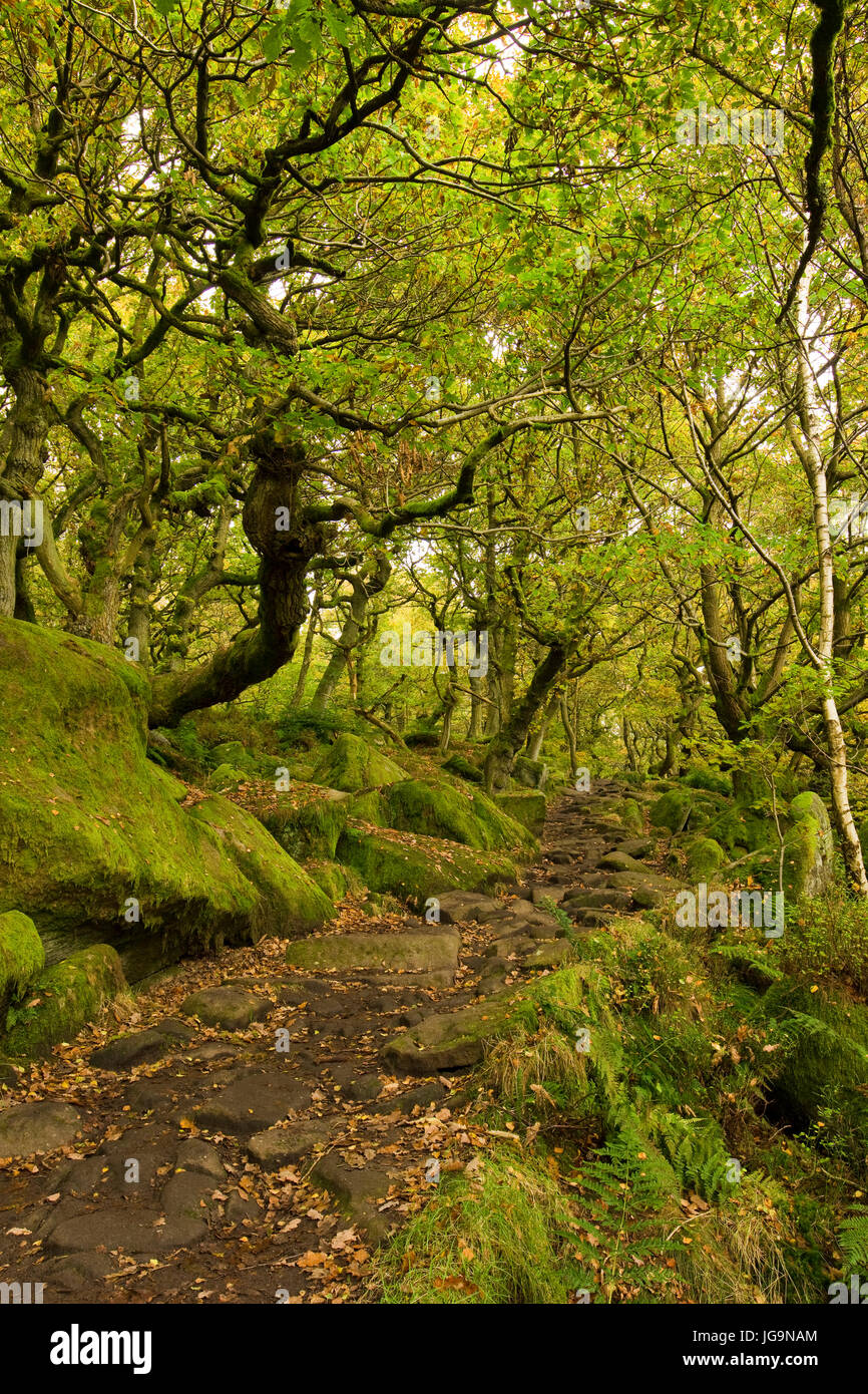 Walk through Padley Stock Photo - Alamy