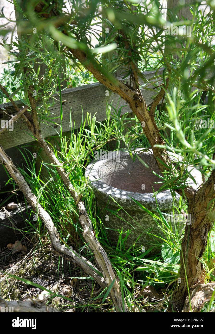 Empty plant hi-res stock photography and images - Alamy