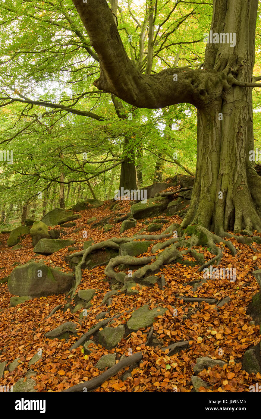 Escape ways hi-res stock photography and images - Alamy