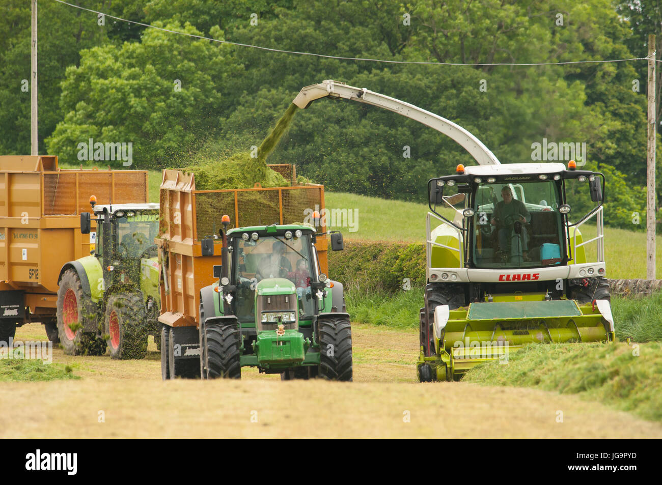 Silage lifting with John Deere tractor and Claas Chopper Stock Photo ...