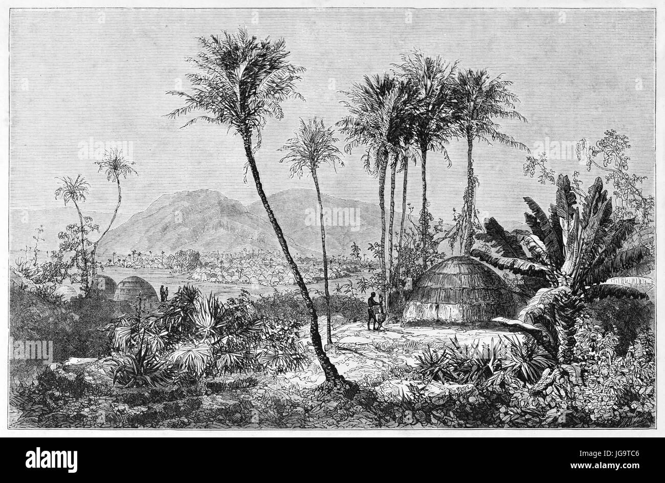 thatched huts surrounded by deep african vegetation in Timbo, town in ...