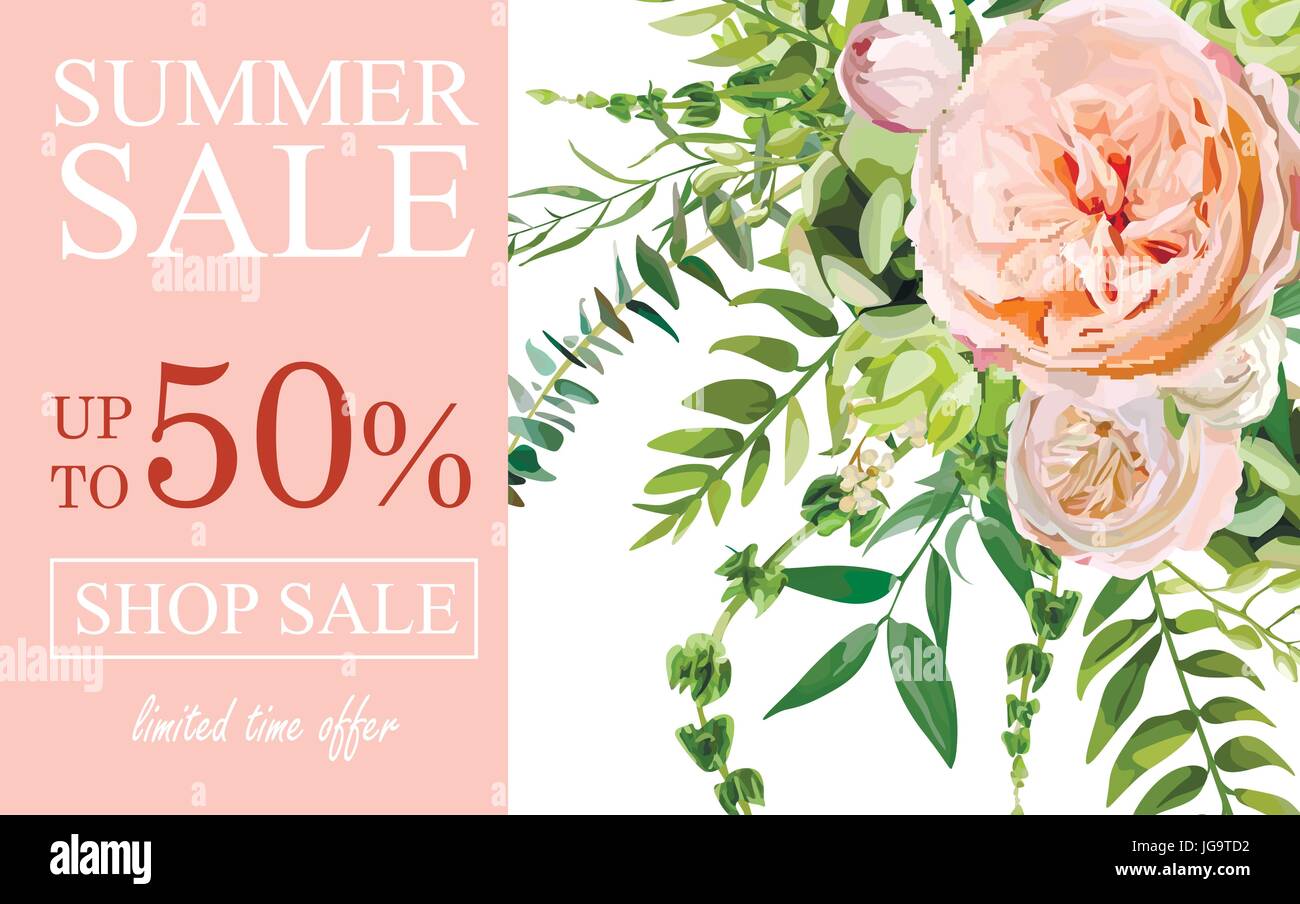 Summer sale vector banner, poster background with pink garden rose ...